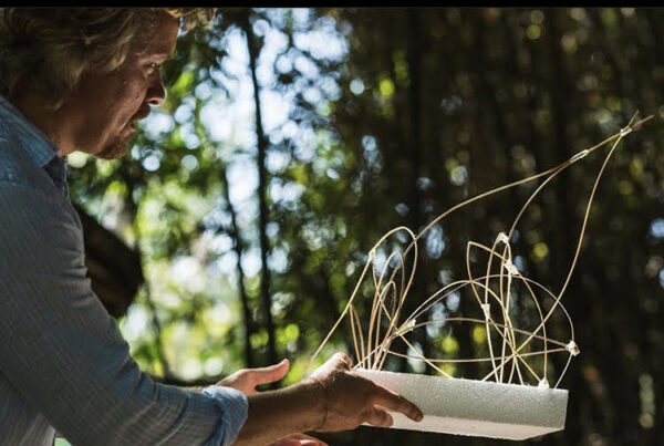 The 3 Ways To Create Amazing Curved Structures Using Bamboo - Bamboo U