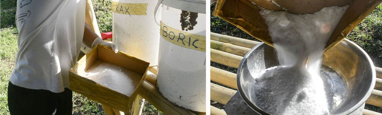 How to Treat Bamboo In Your Backyard - Bamboo U