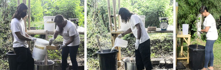 How to Treat Bamboo In Your Backyard - Bamboo U