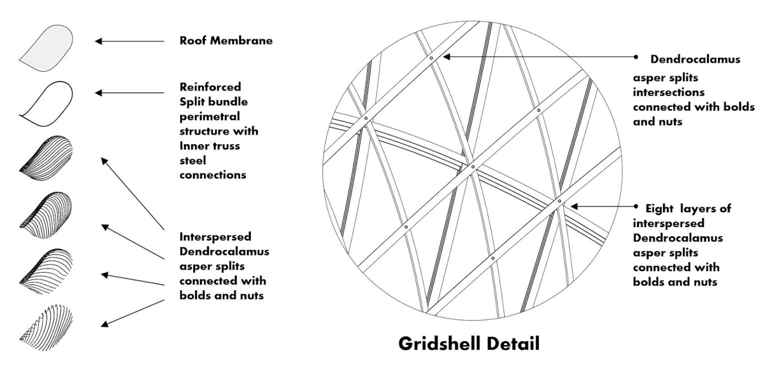Gridshell Detailed Drawing - Bamboo U