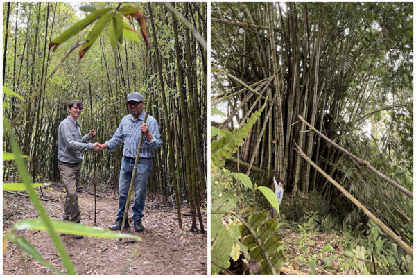 Building a Bamboo Yurt in Ecuador - Bamboo U
