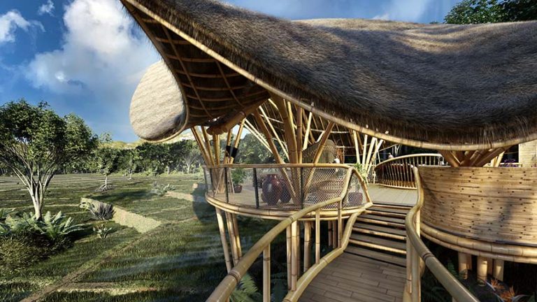 How To Optimize Your Design Workflow For Bamboo Project - Bamboo U