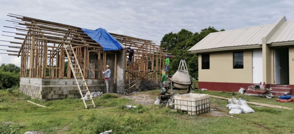 The Bamboo Species To Use for Construction