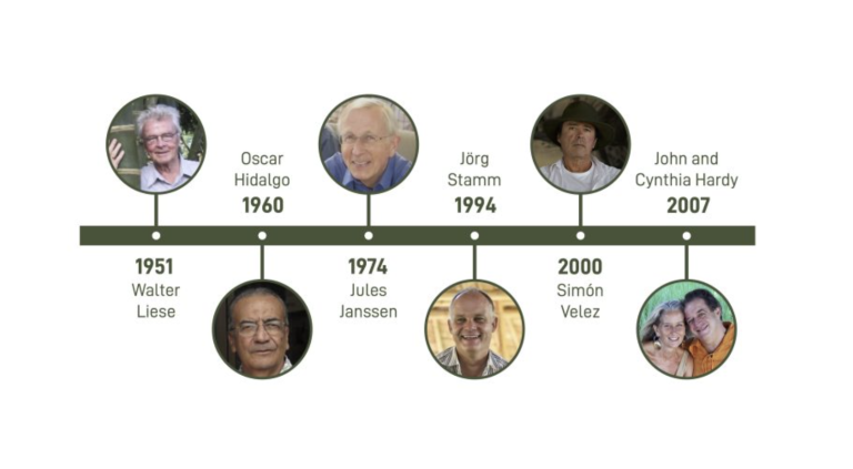 Fascinating Facts About 7 Bamboo Pioneers and Their Impact - Bamboo U