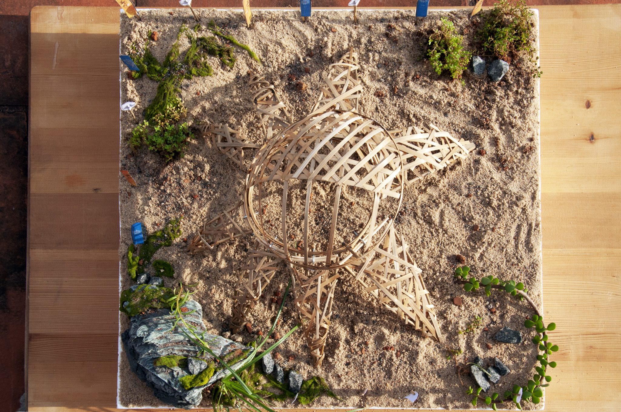 Designing a Temporary Festival Structure Using Bamboo - Bamboo U
