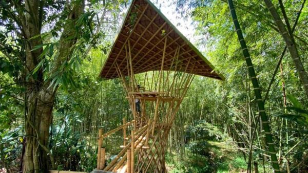 Bamboo Structural Systems You Should Know: Hyperbolic Paraboloids ...