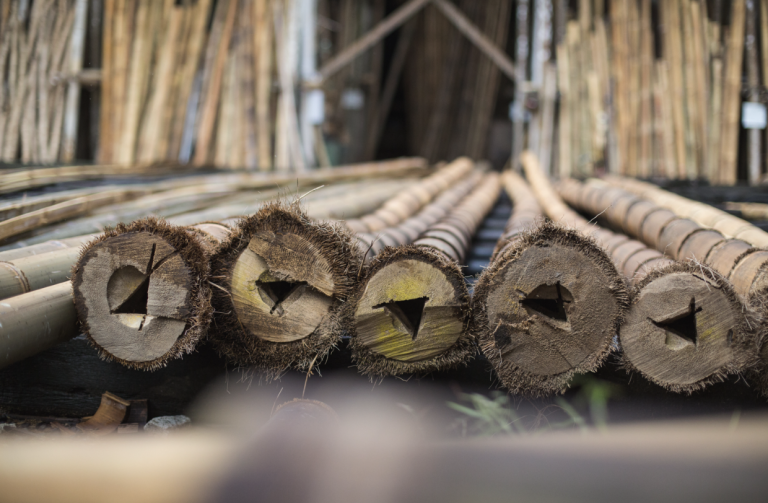 Why Is Bamboo so Important for Sustainability? - Bamboo U