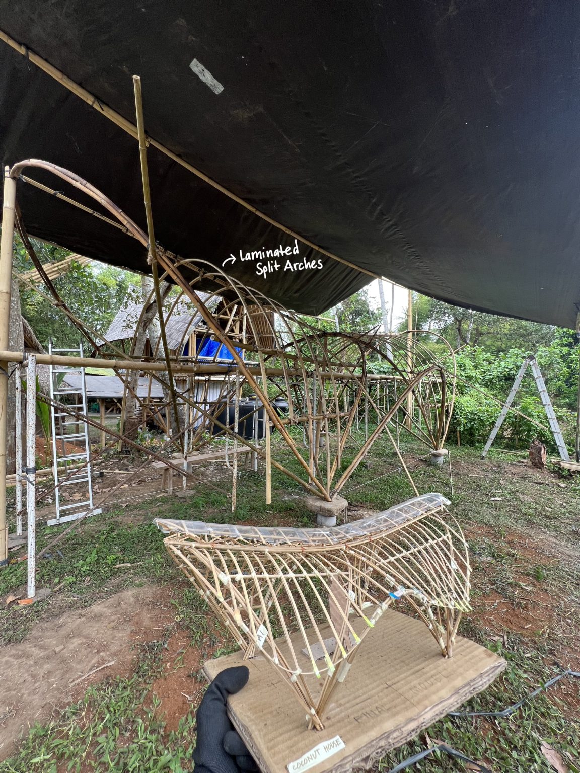 Testing And Applying Innovative Heat-bending Techniques In Bamboo ...