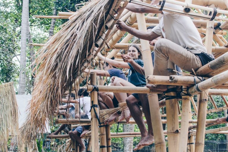 The 5 Essential Tips for Beginner Bamboo Designers - Bamboo U