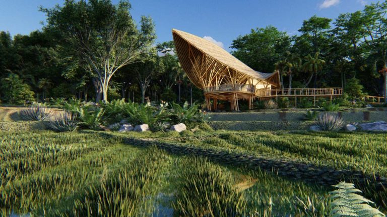 The 5 Essential Tips for Beginner Bamboo Designers - Bamboo U