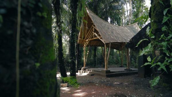 Answering The Top 4 Questions We Get About Bamboo - Bamboo U