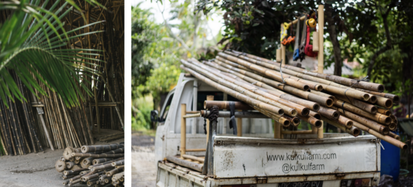 The Top Steps You Need to Start Your Bamboo Project - Bamboo U