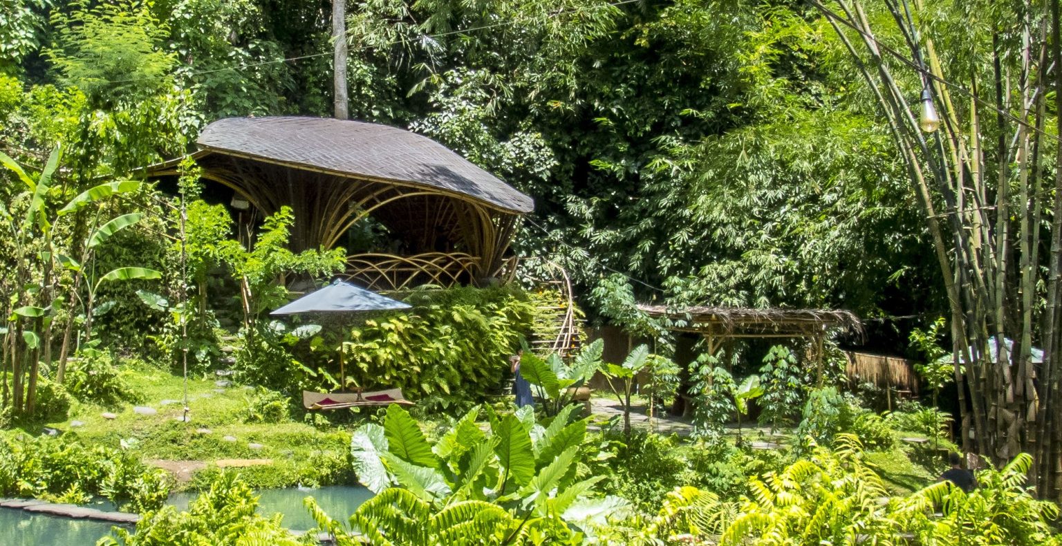 The Top Steps You Need to Start Your Bamboo Project - Bamboo U