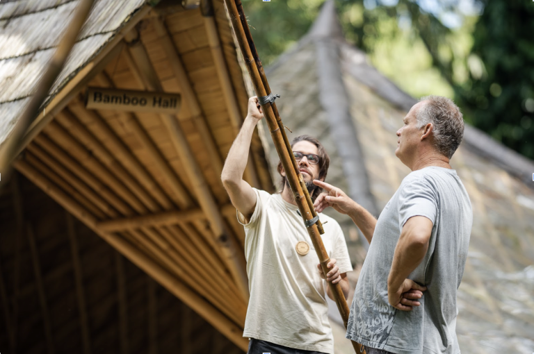 The Top Steps You Need to Start Your Bamboo Project - Bamboo U