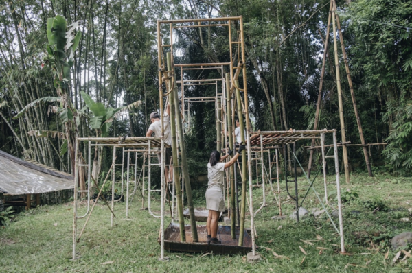 The Ultimate Step-by-Step Guide To Treating Bamboo - Bamboo U