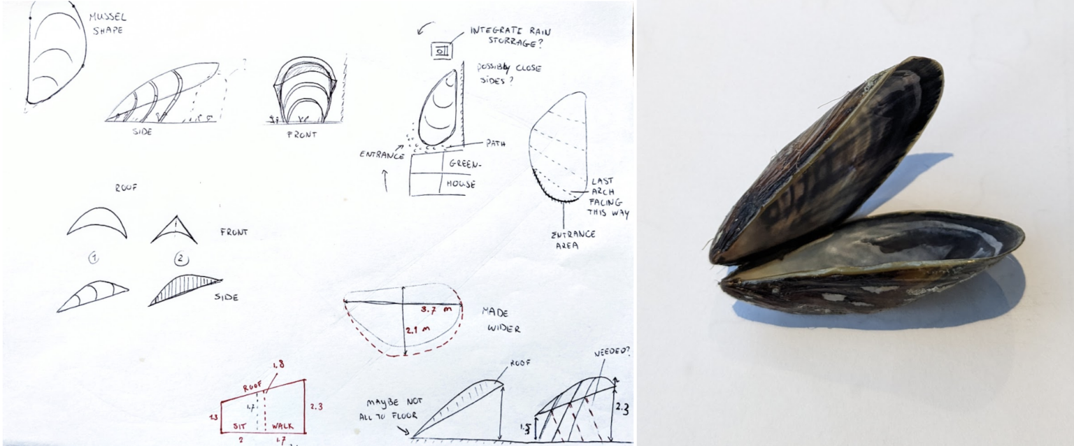 Designing a Bamboo Pavilion During an Online Course - Bamboo U