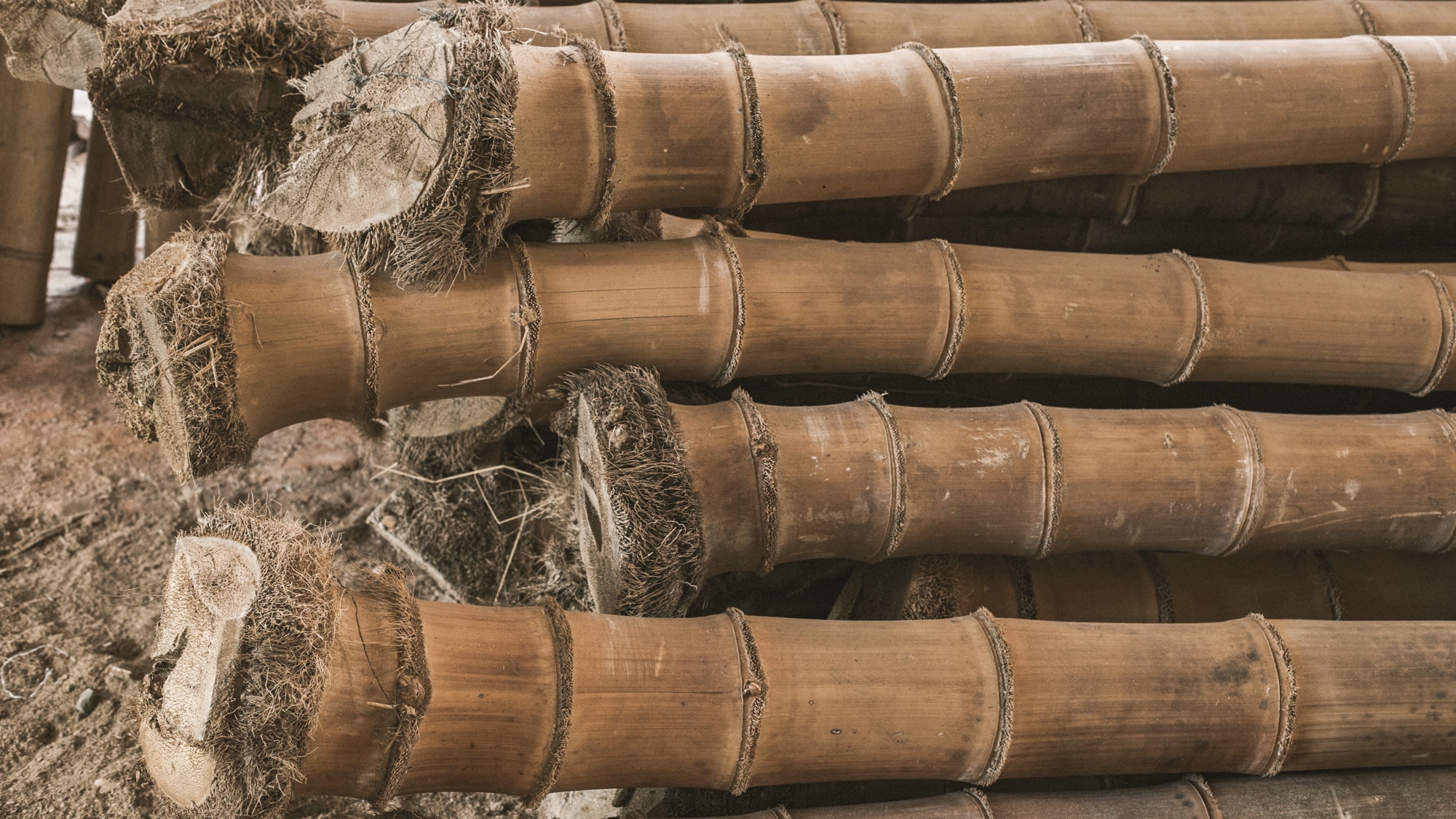 Crafting Multiple Pieces from One Bamboo Pole - Bamboo U