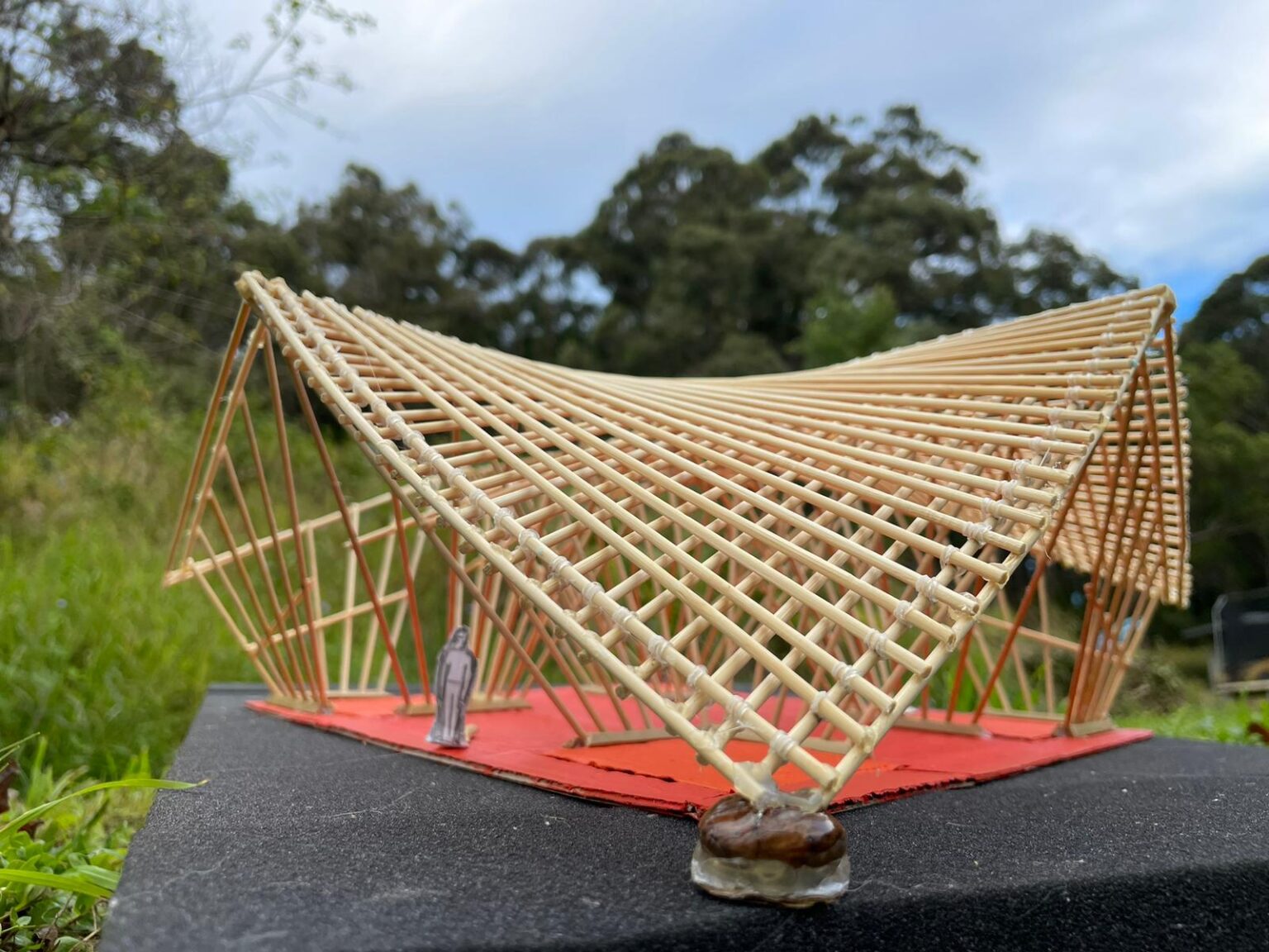 Designing a Creative Hub from Bamboo in Australia - Bamboo U