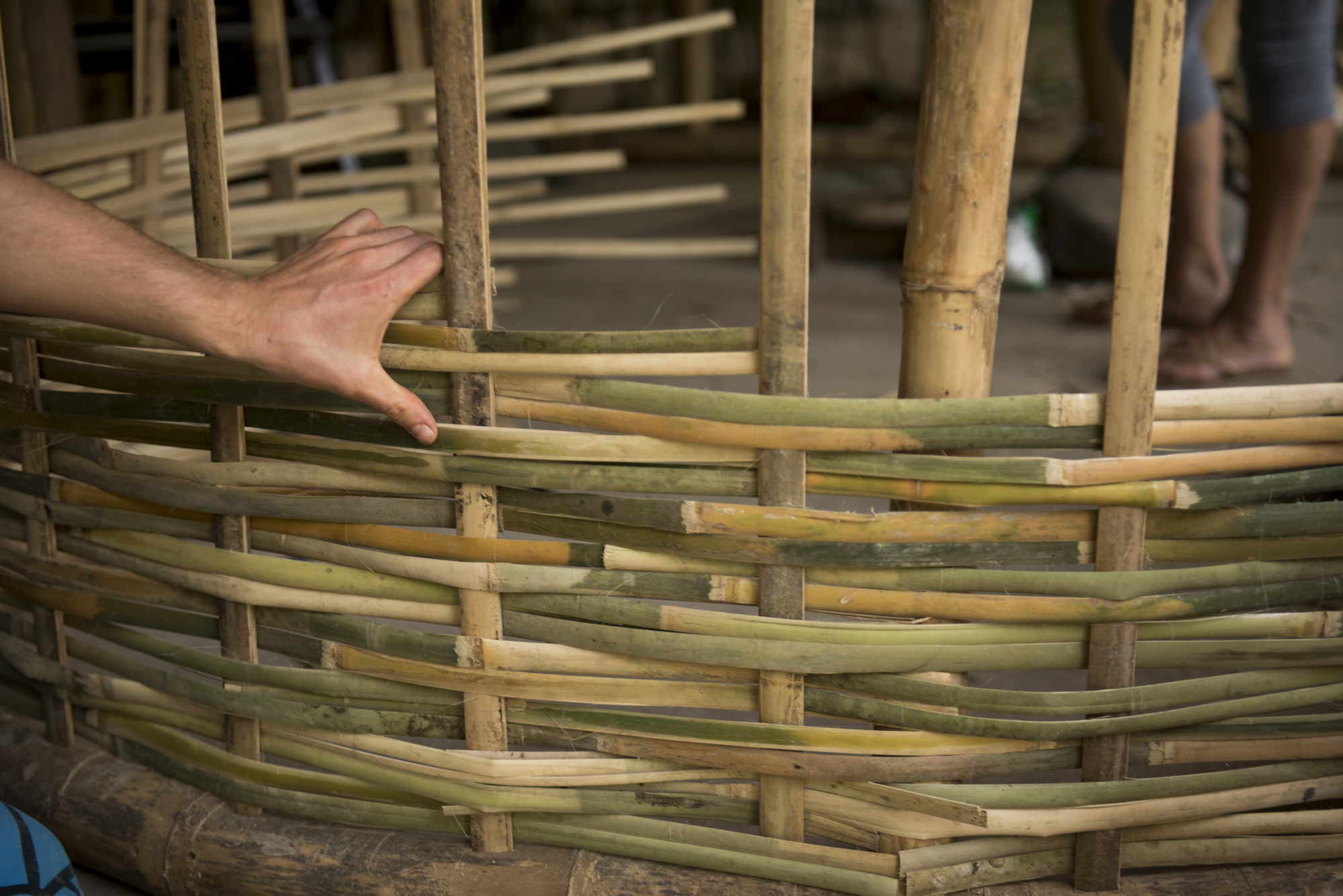 5 Interesting Myths about Bamboo – Debunked - Bamboo U