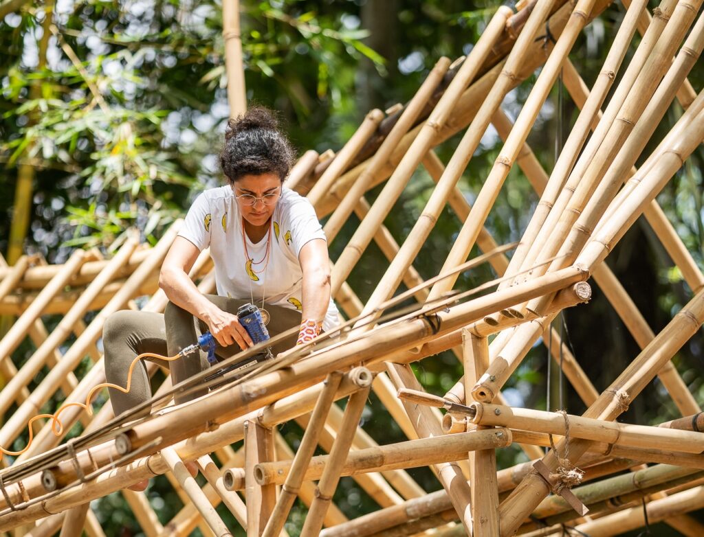 5 Of The Best Bamboo Species To Use In Construction - Bamboo U