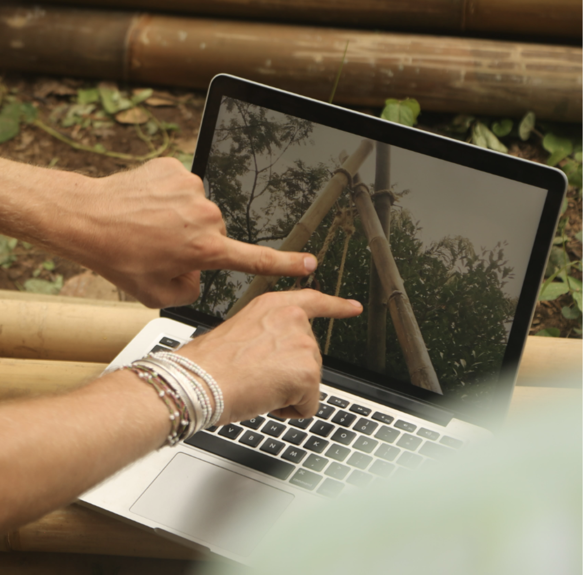 The Ultimate Guide to Building Strong Foundations for Your Bamboo ...