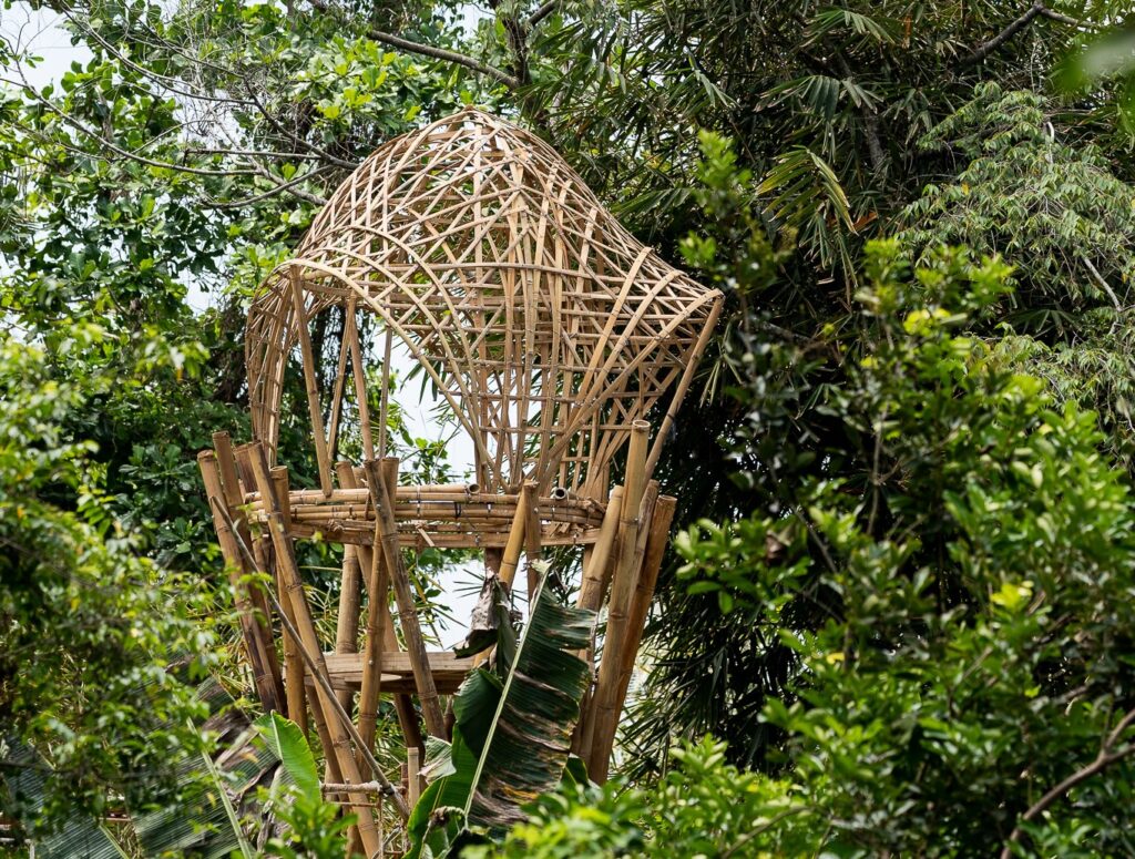 Buildings that Wouldn’t Exist Without Digital Tools – Part 1 - Bamboo U